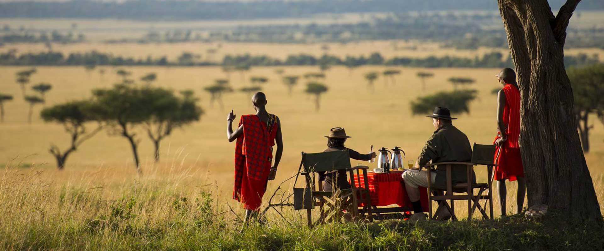 Bush Easter Safari – TrippyGO Tours & Travel