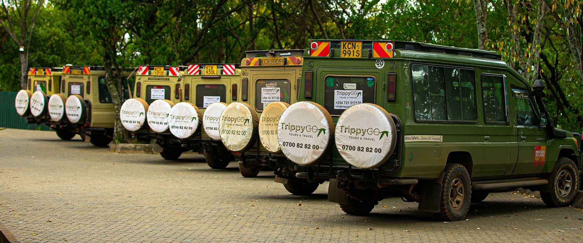 Maasai Mara Group Joining Packages – TrippyGO Tours & Travel