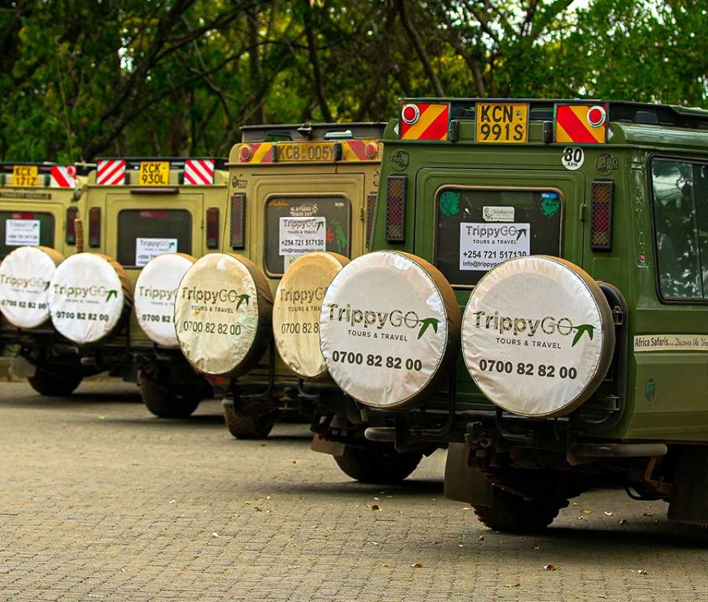 Maasai Mara Group Joining Packages – TrippyGO Tours & Travel